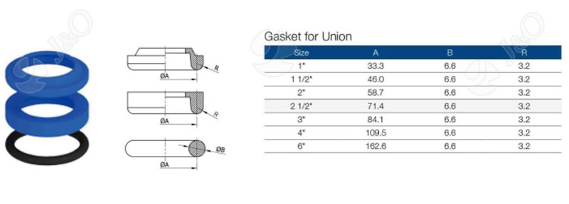 DS Sanitary Union Gasket Seal, China DS Union Gasket, Sanitary Union ...