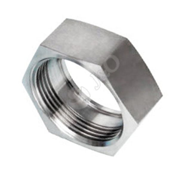 RJT-13H Sanitary Stainless Steel Hexagonal Nut, China RJT Hexagonal Nut ...