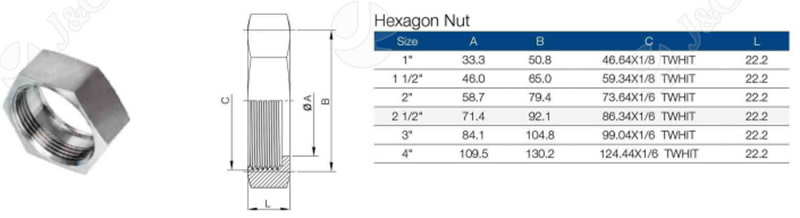 RJT-13H Sanitary Stainless Steel Hexagonal Nut, China RJT Hexagonal Nut ...
