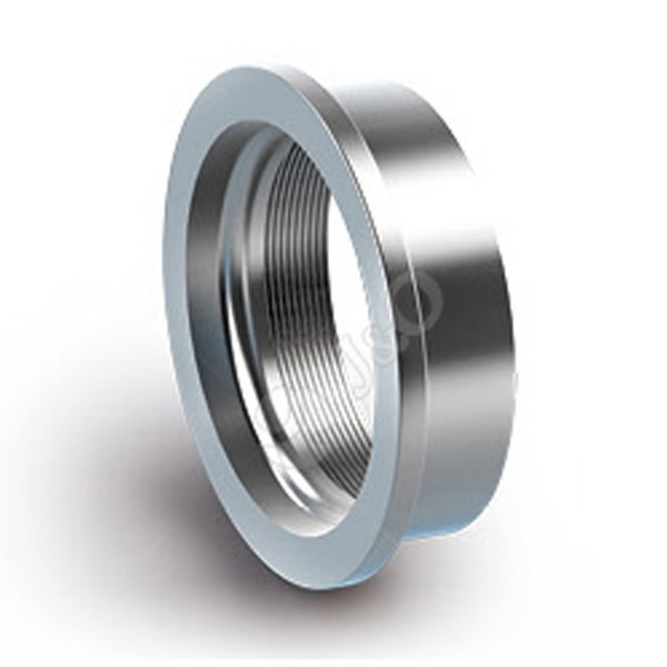 Sanitary Stainless Steel RJT 14R Expanding Welding Liner China RJT Union Liner Welding Liner sanitary-stainless-steel-rjt-14r-expanding-welding-liner-china-rjt-union-liner-welding-liner