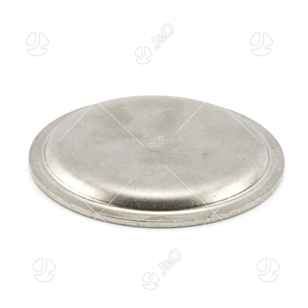 Sanitary Stainless Steel BSM RJT Blank Cap, China BSM Blank Cap, RJT ...